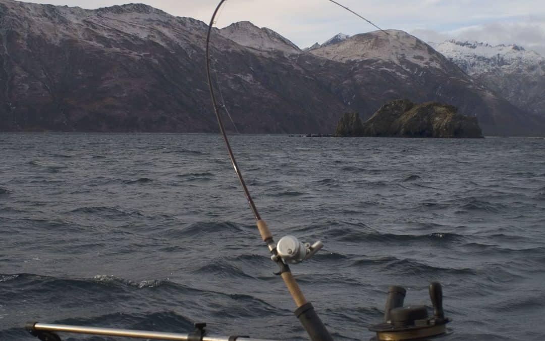 Kokanee Gear and Equipment – Outdoor Troop