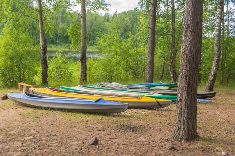How Much Weight Can a Canoe Hold? (With 15 Examples of Different Canoes ...