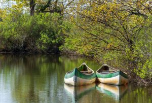 9 Best Small Canoes that are Easily Transportable – Outdoor Troop