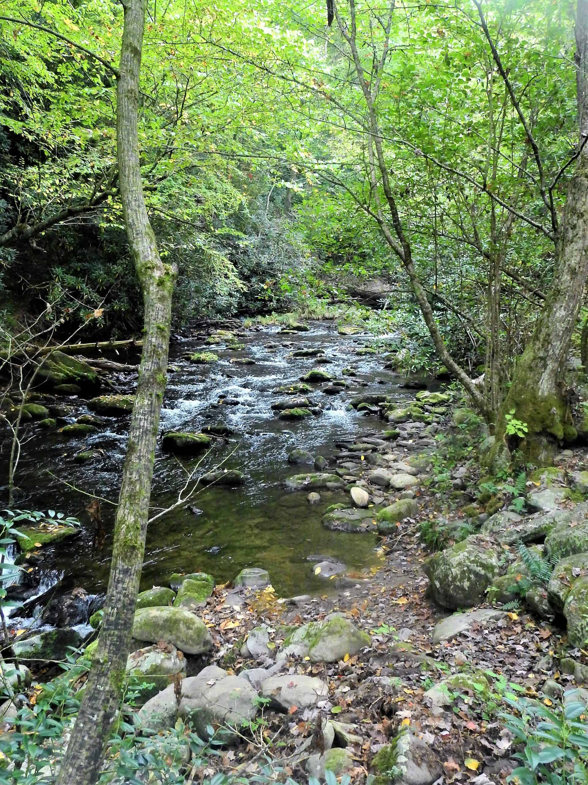 Hiking Little Cataloochee Trail – Outdoor Troop