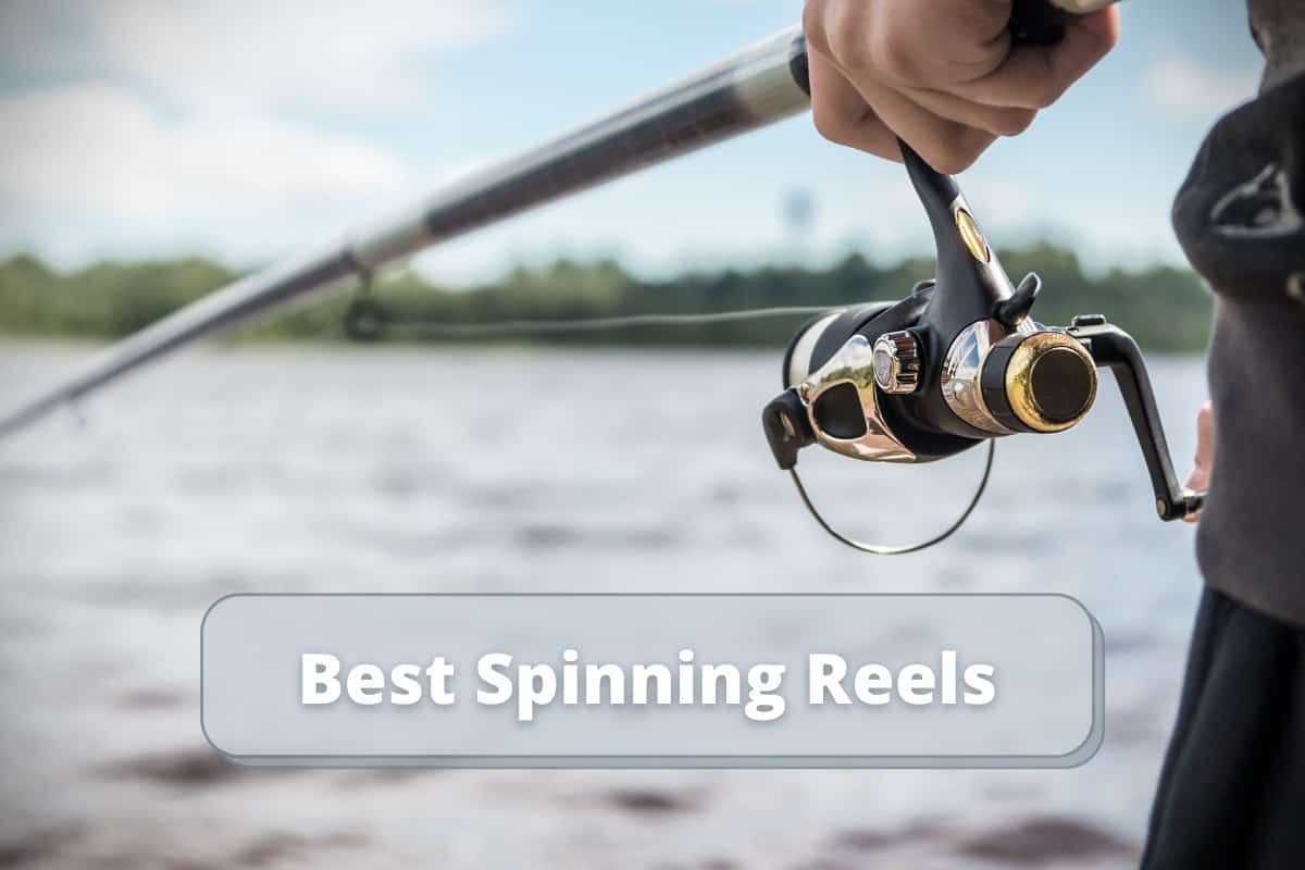 Best Fishing Gear – Outdoor Troop